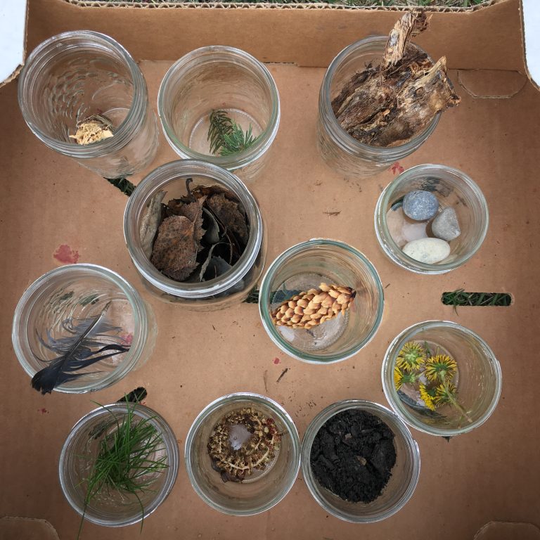 Smells in Nature - Outdoor Nature Activities for KidsMomma On The Move